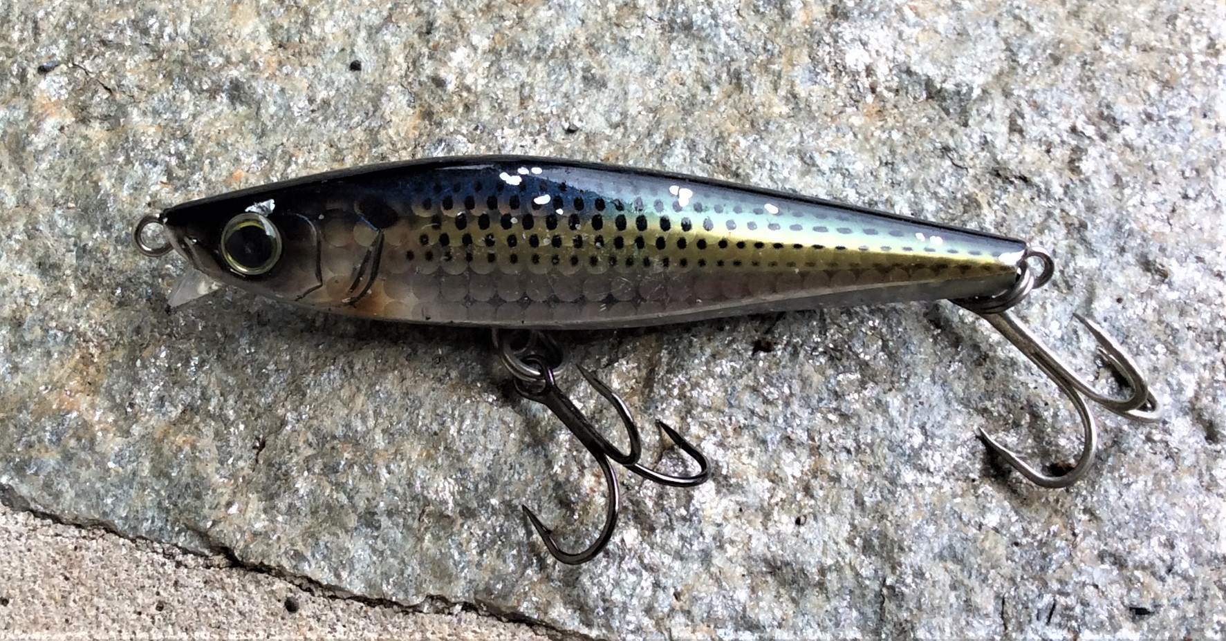 Best Fishing Rods For Whipping In Hawaii at Rocio Wilds blog